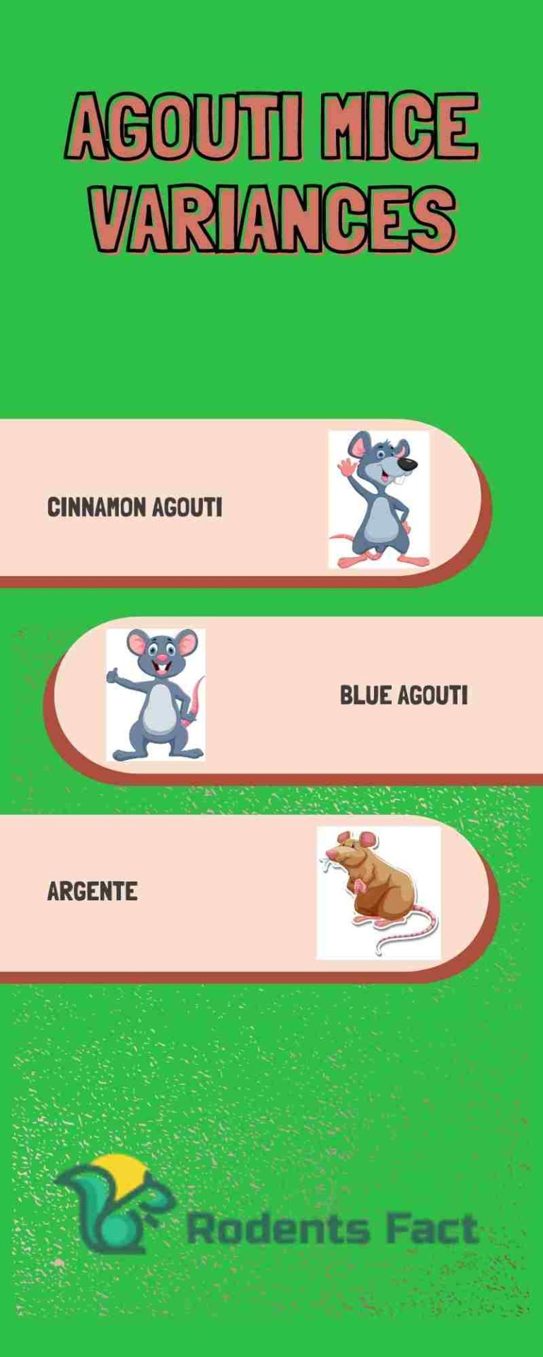 What is the Color of a Pet Mouse? Choose your Favorite Color