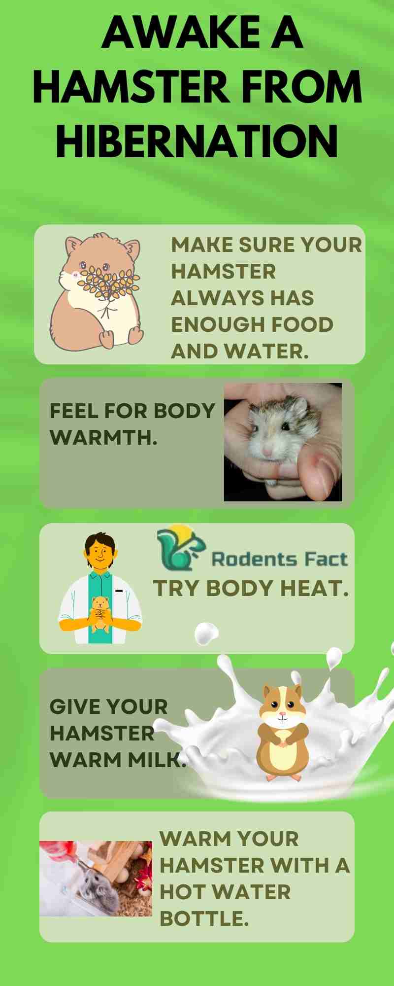 How to Wake up a Hibernating Hamster? A Proper Way Use