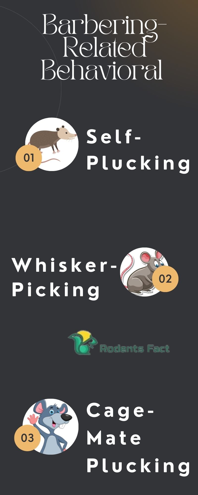 How Do I Stop My Mouse From Barbering?