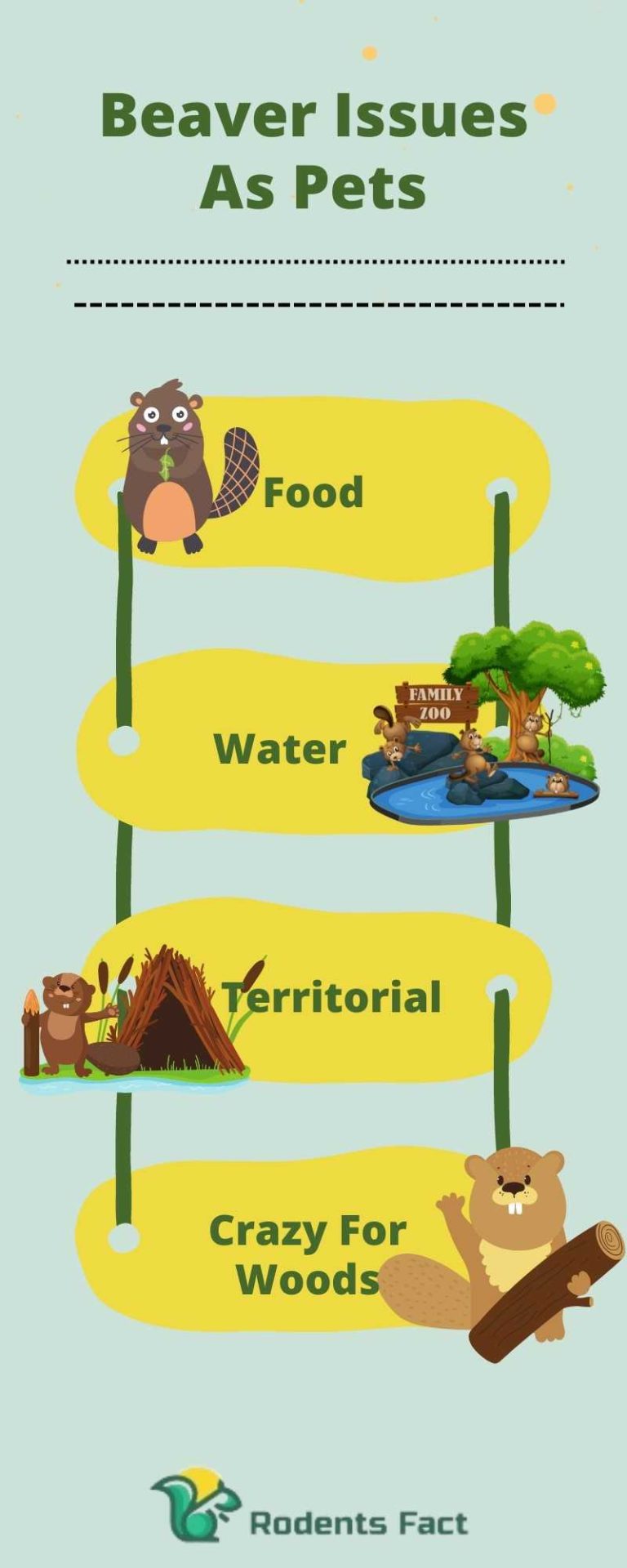 Beaver As Pet | How Ideal Are These Rodents As Pets?