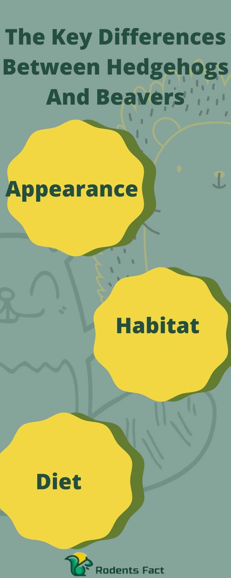 Beavers vs Hedgehogs | 3 Key Differences