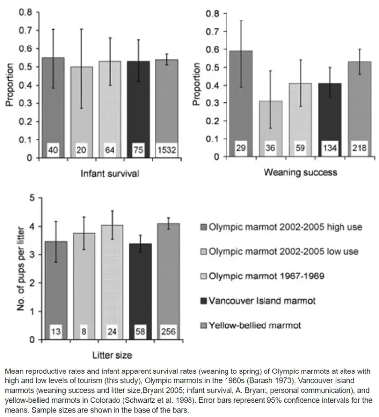Are Marmots Friendly? Understanding Marmot Behavior and Temperament