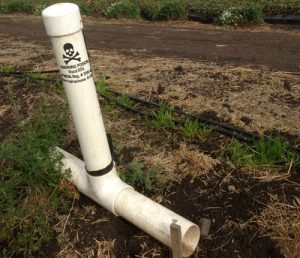 How To Set A Gopher Trap: A Step-By-Step Guide