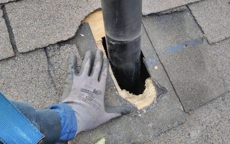 How To Find Mice Entry Points - 6 Common Entry Points Explained!